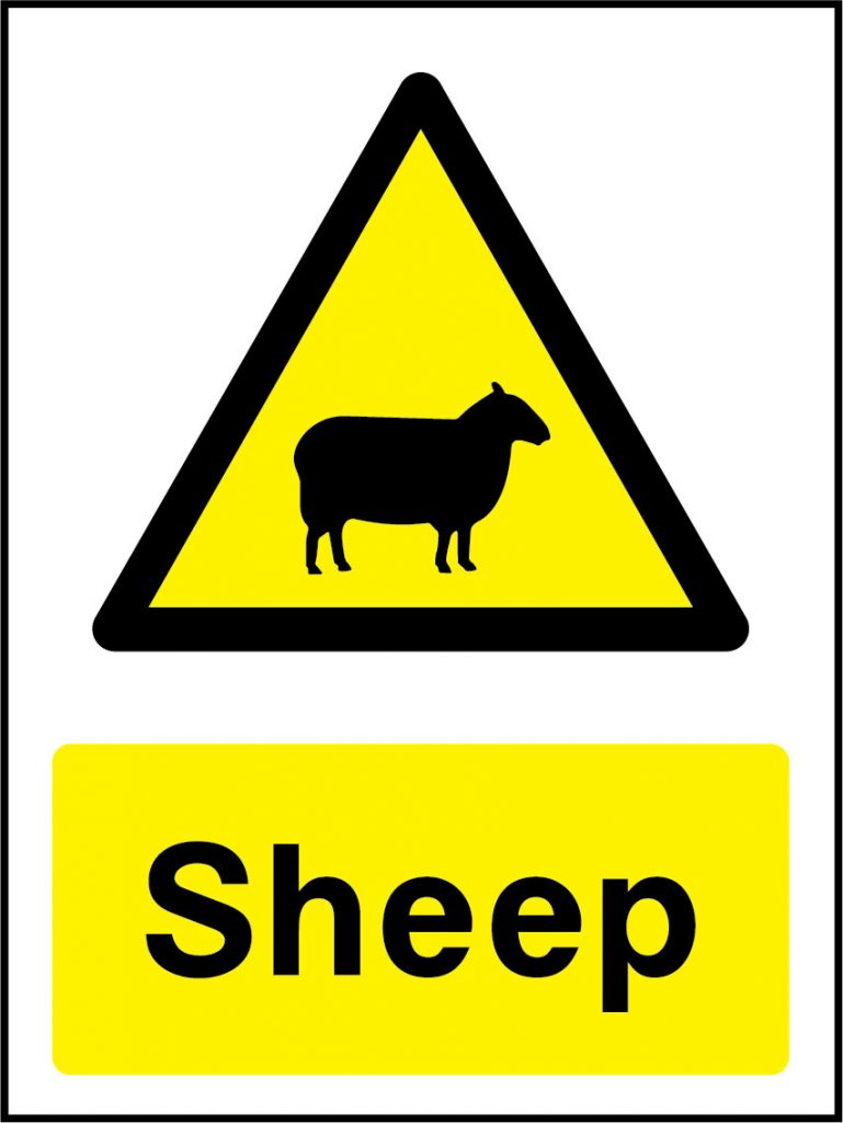 Sheep sign - Countryside & Agriculture > Warning - We Do Safety Signs